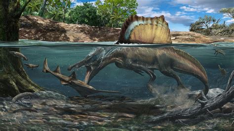 Spinosaurus A Dinosaur Bigger Than T Rex Swam And Hunted Its Prey