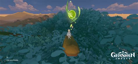 Dendroculous And Luxurious Chest In Sumeru Rgenshinimpactfarming