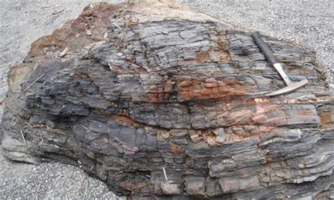 New Source Of Global Nitrogen Discovered — Science Bulletin