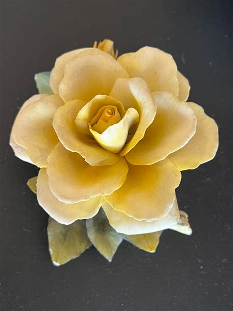 砸1億元養老！甄妮突爆「擺地攤賣收藏品」原因曝 愛女遺傳高顏值「生父確實是他」 娛樂星知識