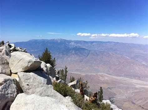 10 Popular Palm Springs Hikes Top Trails For Every Adventurer