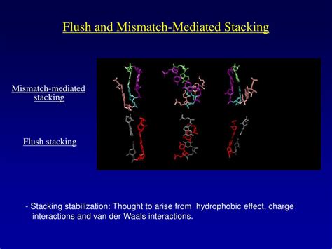 Ppt Predicting Coaxial Stacking By Free Energy Minimization Powerpoint Presentation Id3334345