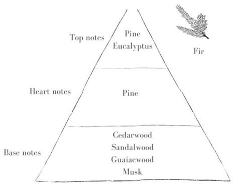 Pott Ruby Grand Candle Pot — Peacock And May