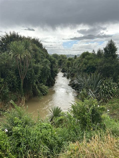 Community Comes To The Rescue King Country News