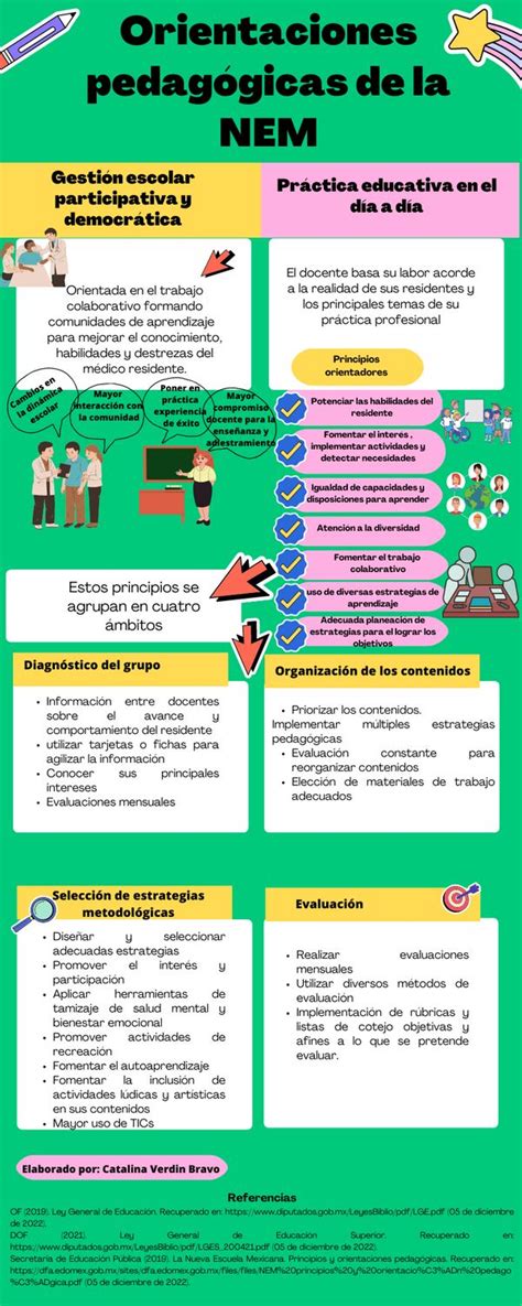 Orientaciones PedagÓgicas De La Nem Infografias Educativas Nueva