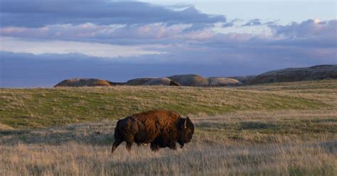 The Great Plains The Nature Conservancy