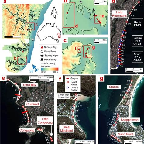 Microtidal Mesotidal And Macrotidal Coastal Regions Of The World