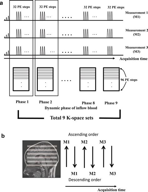 Diagram For Segmented Multiphase Bssfp Sequence A Initial 10 Phase Download Scientific