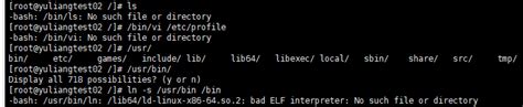 linux所有命令都无法使用 rm f 删除根目录 郭大侠 博客园
