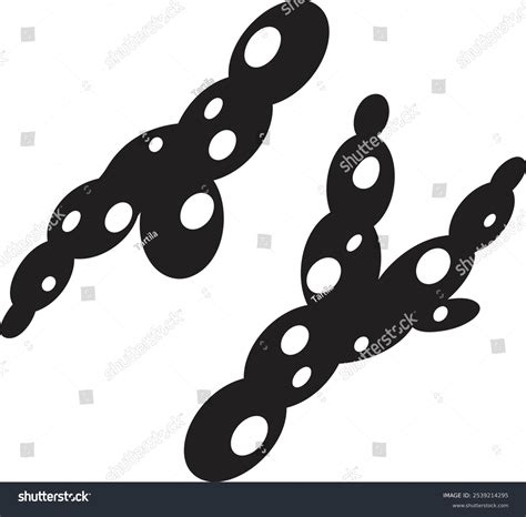 Two Shigella Bacteria Black Bodies White Stock Vector Royalty Free
