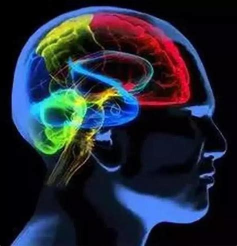 1 In 5 Indian Adults Over 60 Show Signs Of Mild Neurocognitive Disorder