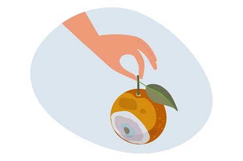 유기 폐기물 템플릿 흰색에 고립 된 나쁜 썩은 오렌지 과일 감귤류 열매가 버릇없게됩니다 음식물 쓰레기 냄새 나는 썩은 썩은 부패와 오렌지 감귤류의 곰팡이에서 냄새가 나기