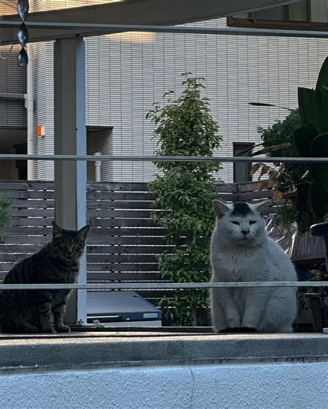 221208 Seyeon Instagram R Fruityseyeon