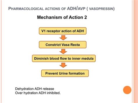 Anti Diuretics Drugs Pptx Endocrine And Metabolic Diseases Diseases And Conditions