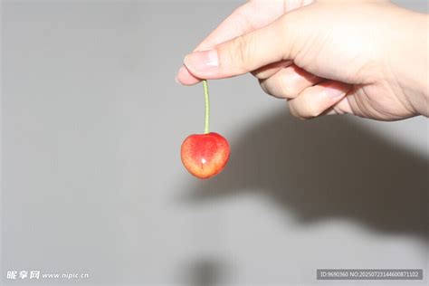 小樱桃摄影图食物原料餐饮美食摄影图库昵图网