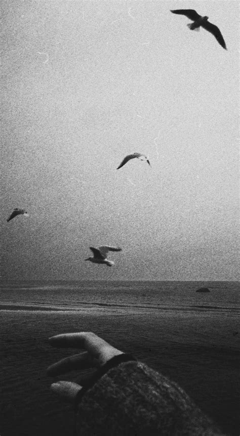Photography Tumblr