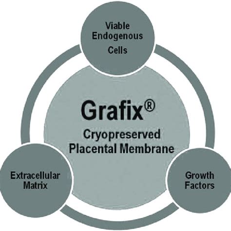 Preparation And Application Of Grafix This Preparation And Application