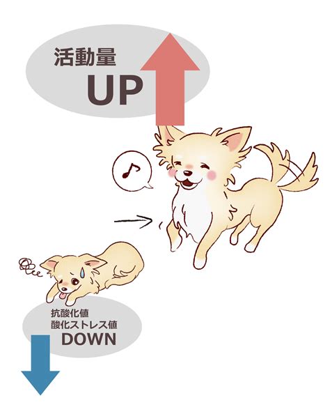 愛犬サプリメント Genki・wan