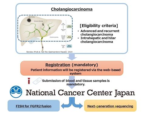 Asian Multicenter Prospective Study Choice Study To Elucidate The Pathogenesis Of