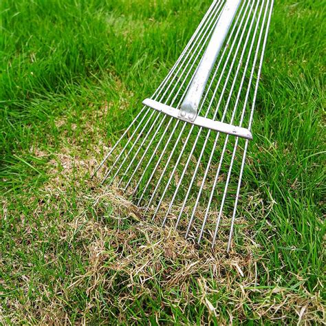 How To Fix A Muddy Backyard
