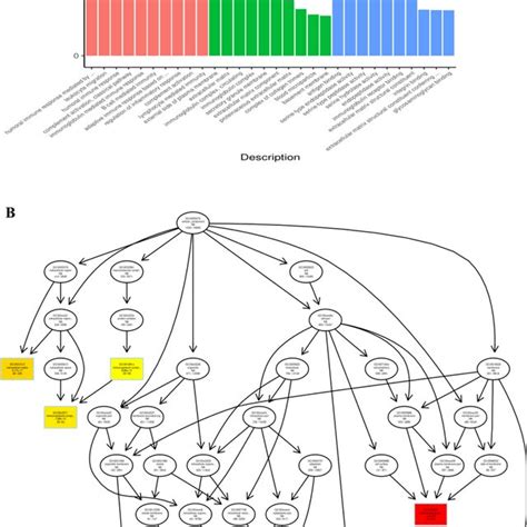 Analyses Of The Transcriptomic Profiles Of Intestinal Mucosal Samples Download Scientific