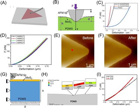 A Schematic Diagram Of The Tested Model By Afm Nanoindentation B Download Scientific