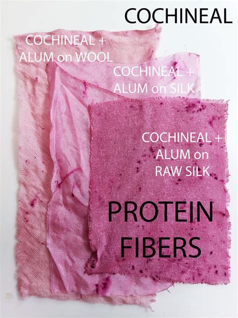 Cochineal ~ Natural Dye Results Beet Dye For Fabric How To Dye