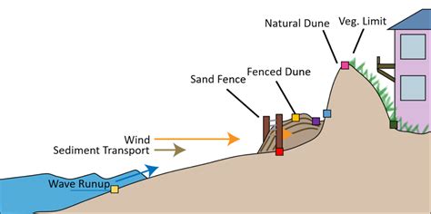 Dune Diagram
