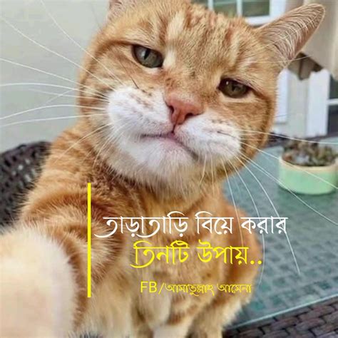 তাড়াতাড়ি বিয়ে করার তিনটি উপায় 😁🫣🤭 Amatullah Amena Facebook