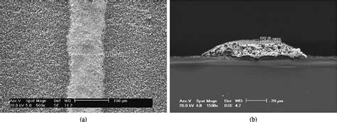 Screen Printed Ag Finger On Silicon Solar Cell A Top View Pointing