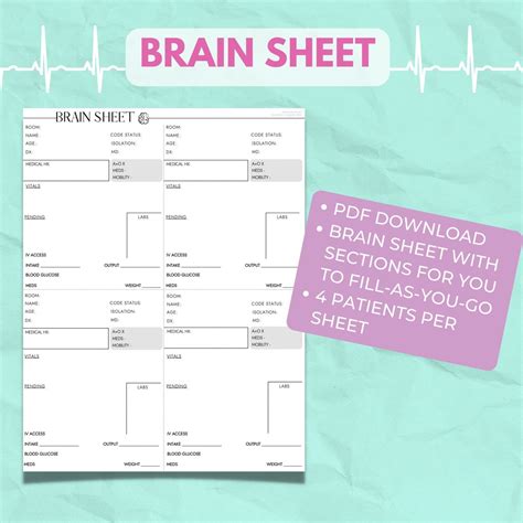 Nurse Brain Sheet Perfect For New Grad Nurses On Medsurg And Ed Etsy