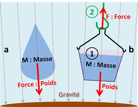 Circuit Deau 1 Données De Calcul Remontée Et évacuation Reeflexions