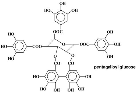 Structure Of Pentagalloylglucose Download Scientific Diagram
