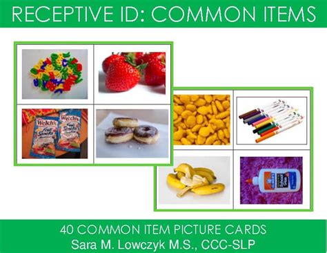 Receptive Id 40 Common Items By Lovecheck Speech Tpt