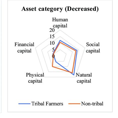 Livelihood Asset Pentagon Download Scientific Diagram