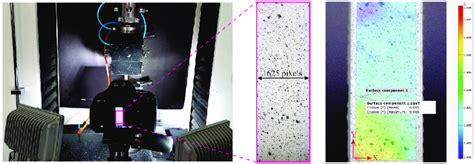 Dic Setup Including Imaging And Lighting Equipment Download