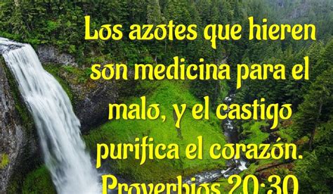 Reflexiones Diarias De Vida