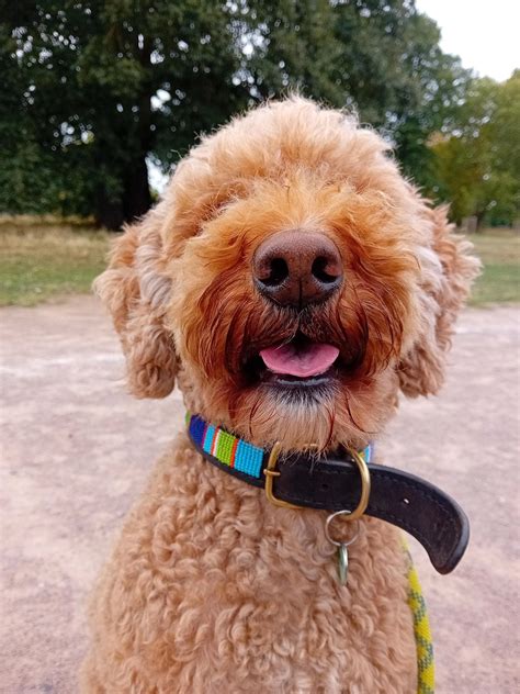 Fluffies Fluffies Added A New Photo