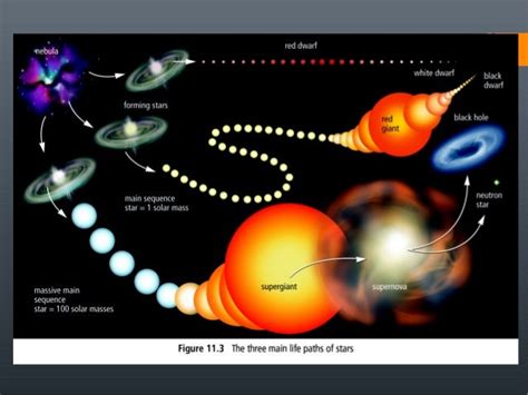 Intermediate Mass Star
