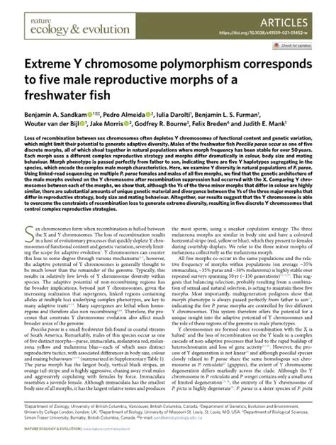 Extreme Y Chromosome Polymorphism Corresponds To Five Male Reproductive