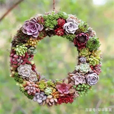 在家休閒做什麼？diy一個彩虹多肉花環吧！ 每日頭條