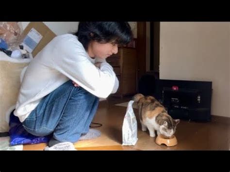 부모님이 여행가서 혼자가된 막내의 일본일상 YouTube