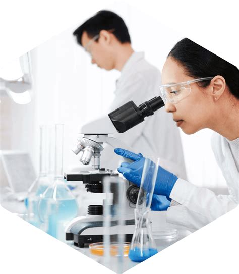 Small Molecule Inhibitors Targeting Key Enzymes In Cancer Therapy Southessexartsandculture