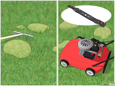 How To Remove Moss From Lawn