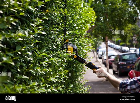 Hedge Trimmer Hi Res Stock Photography And Images Alamy