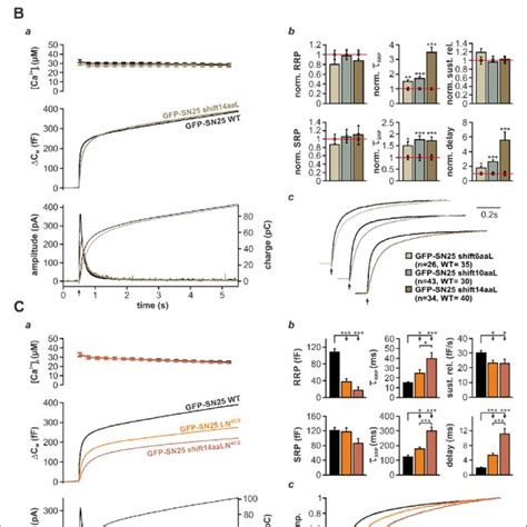 Motifs In N And C Terminal Linker Regions Promote Secretion A Download Scientific Diagram