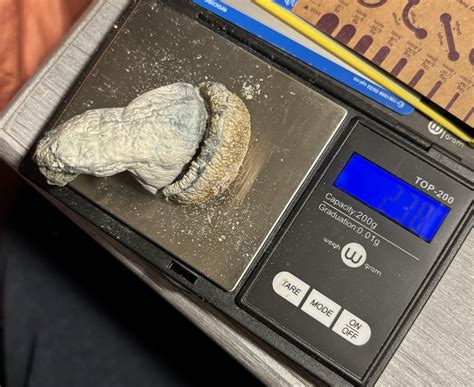 Finally Quitting Weed 2g Ape Report R Shrooms