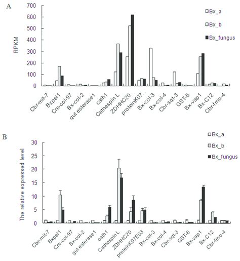 Relative Gene Expression A Expression Levels Of 16 Genes In