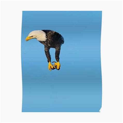 Egal Meme 19 Koleksi Gambar