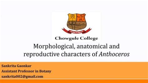 Primary Structure Monocot Root Pptx